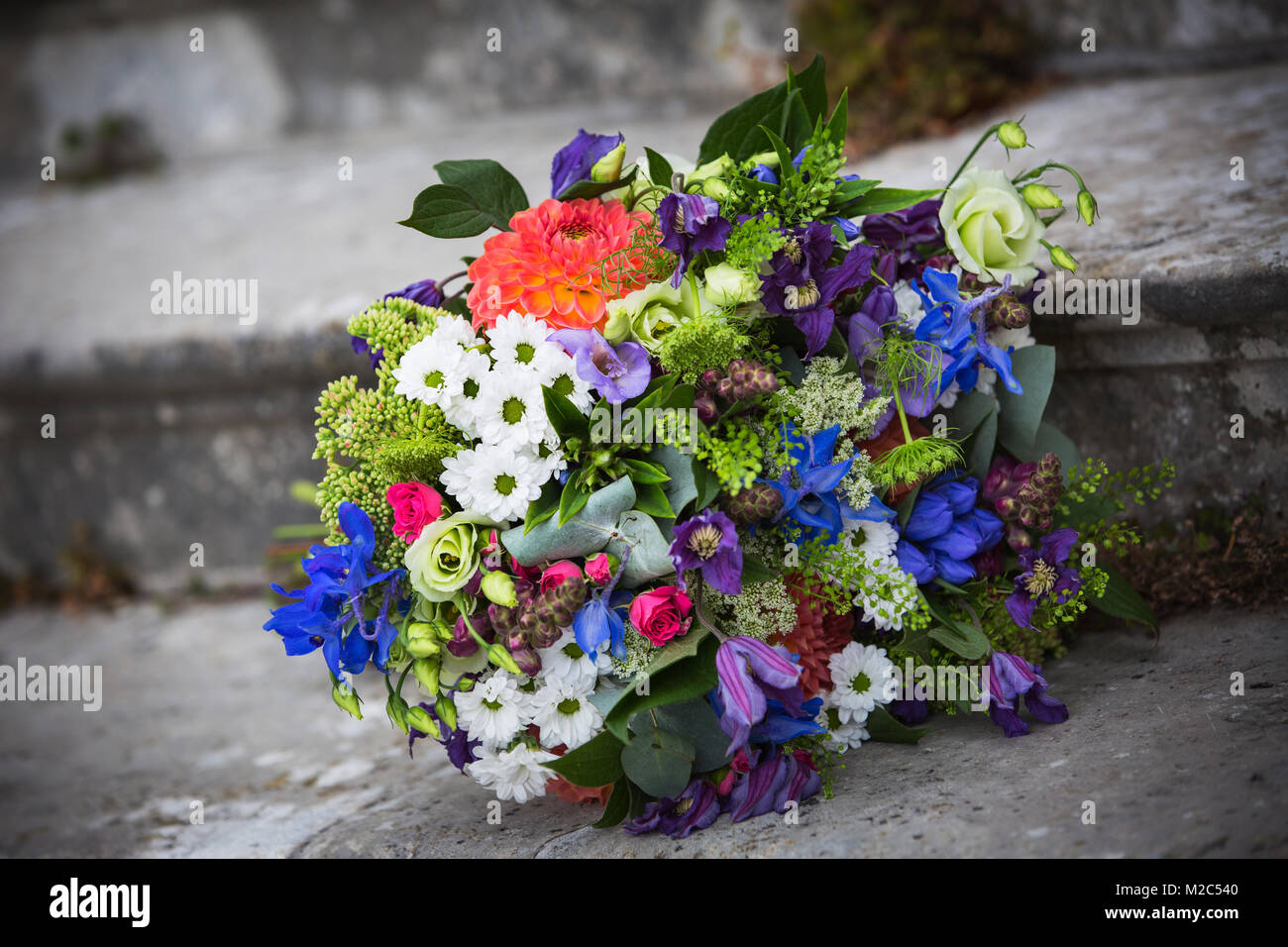 Delicate steps hi-res stock photography and images - Alamy