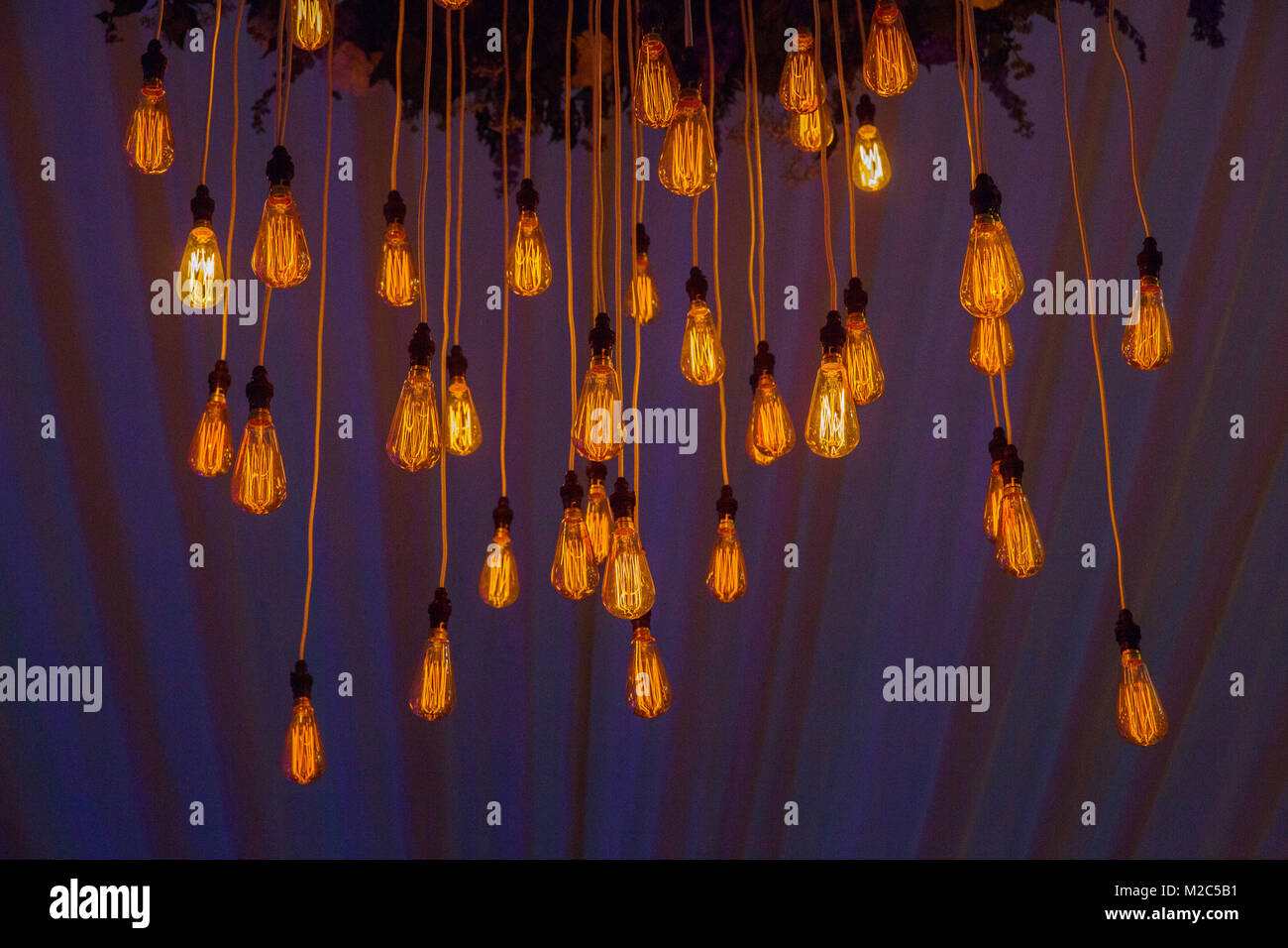 Strings of light bulbs hanging in marquee Stock Photo - Alamy