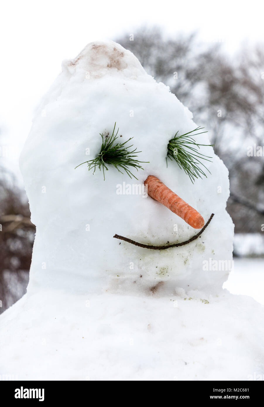 Snowman, Abergavenny, Wales, UK Stock Photo - Alamy