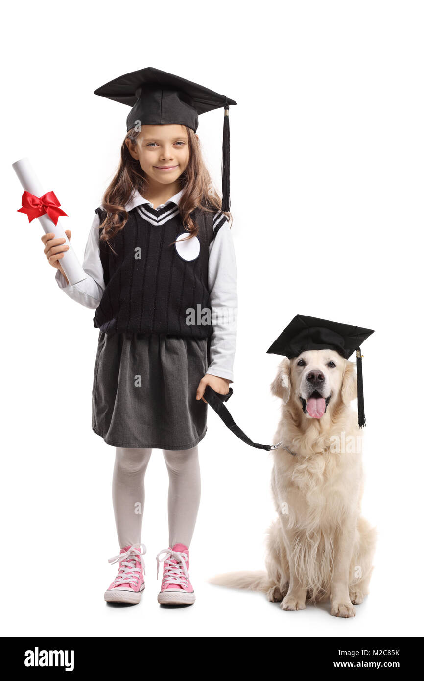 Golden Retriever Dog Graduation Cap High Resolution Stock Photography ...