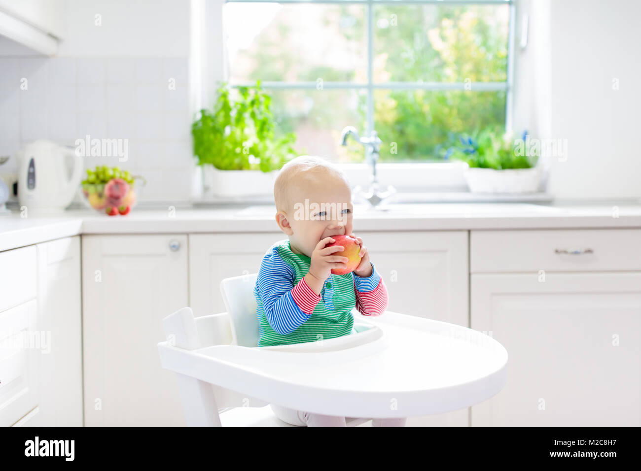 Baby eating fruit. Little boy biting apple sitting in white high chair ...