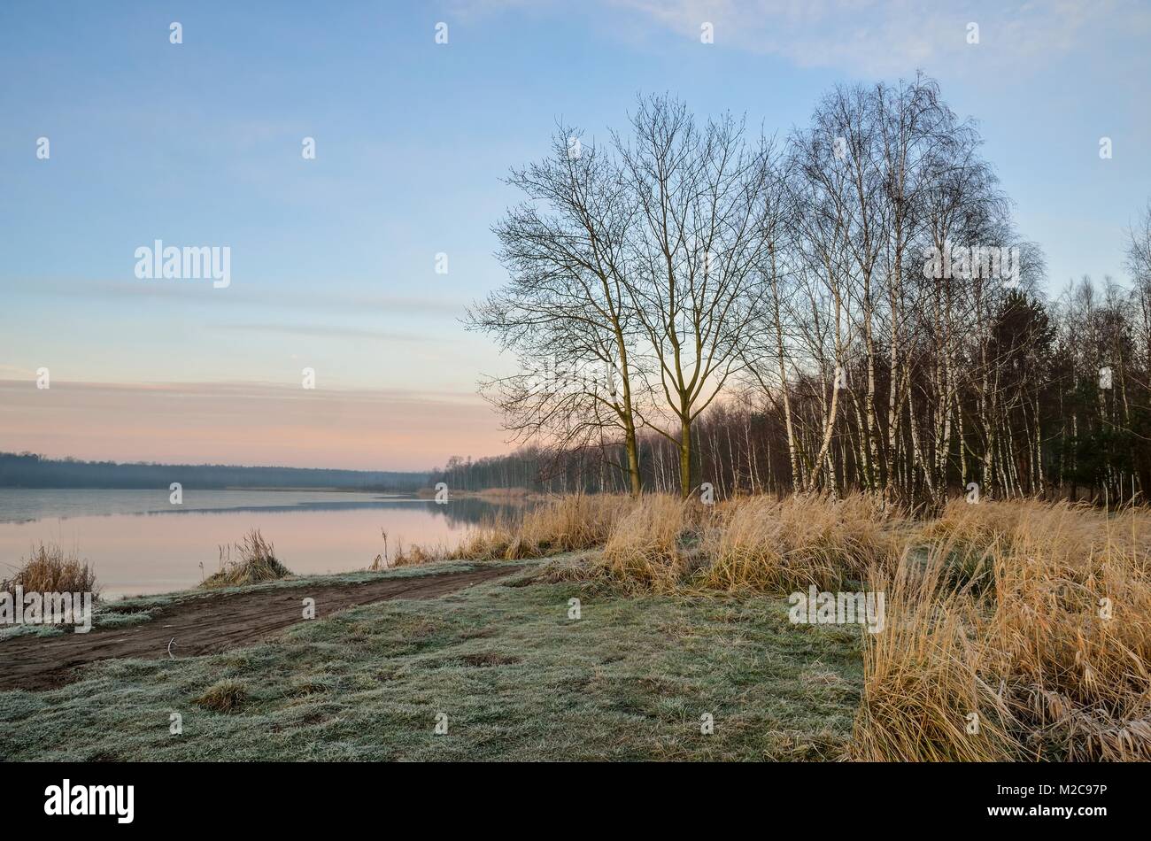 Beautiful winter nature. Morning on the shore of the lake Stock Photo ...