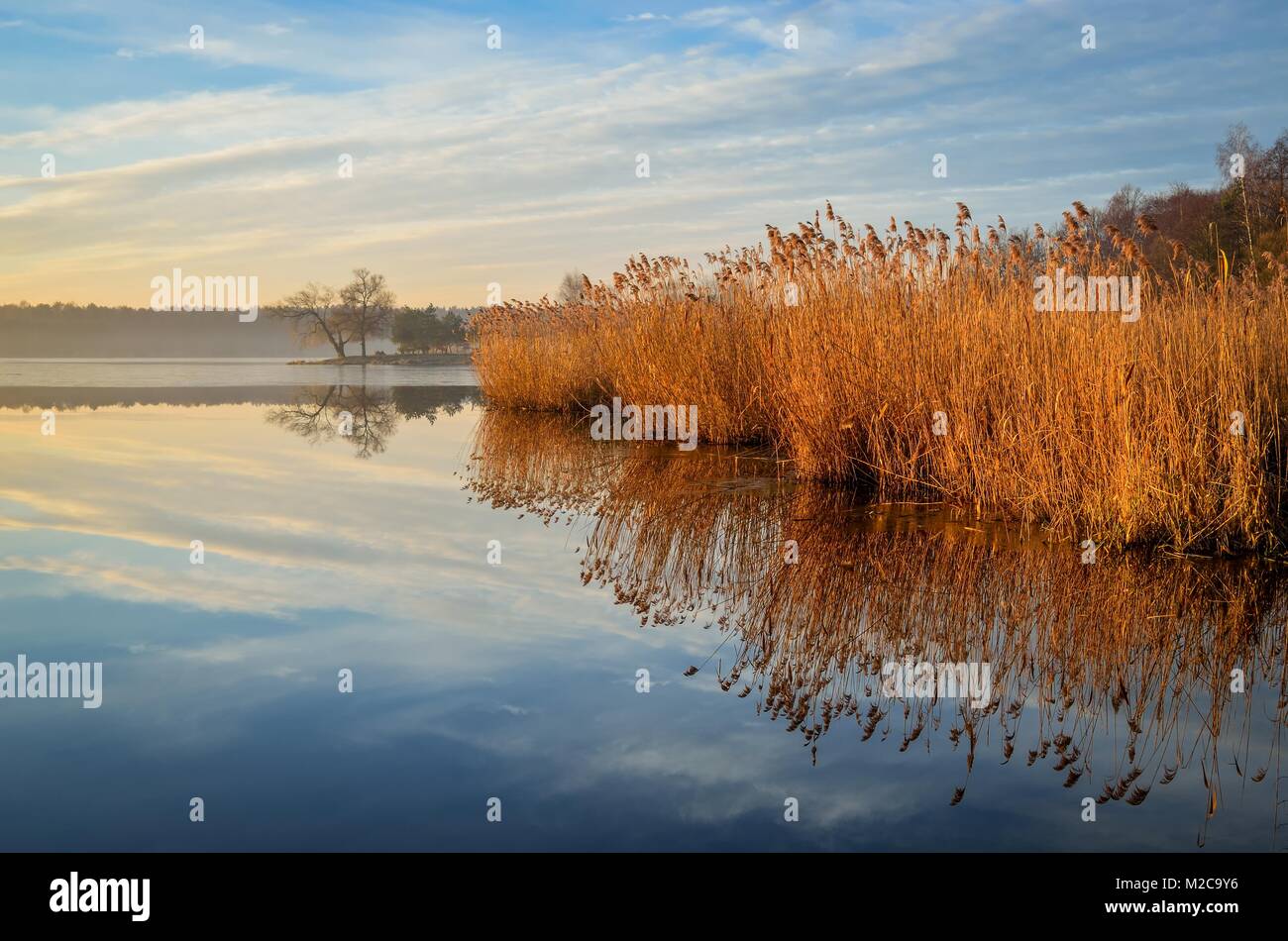 Beautiful morning scenery natural pond hi-res stock photography and ...