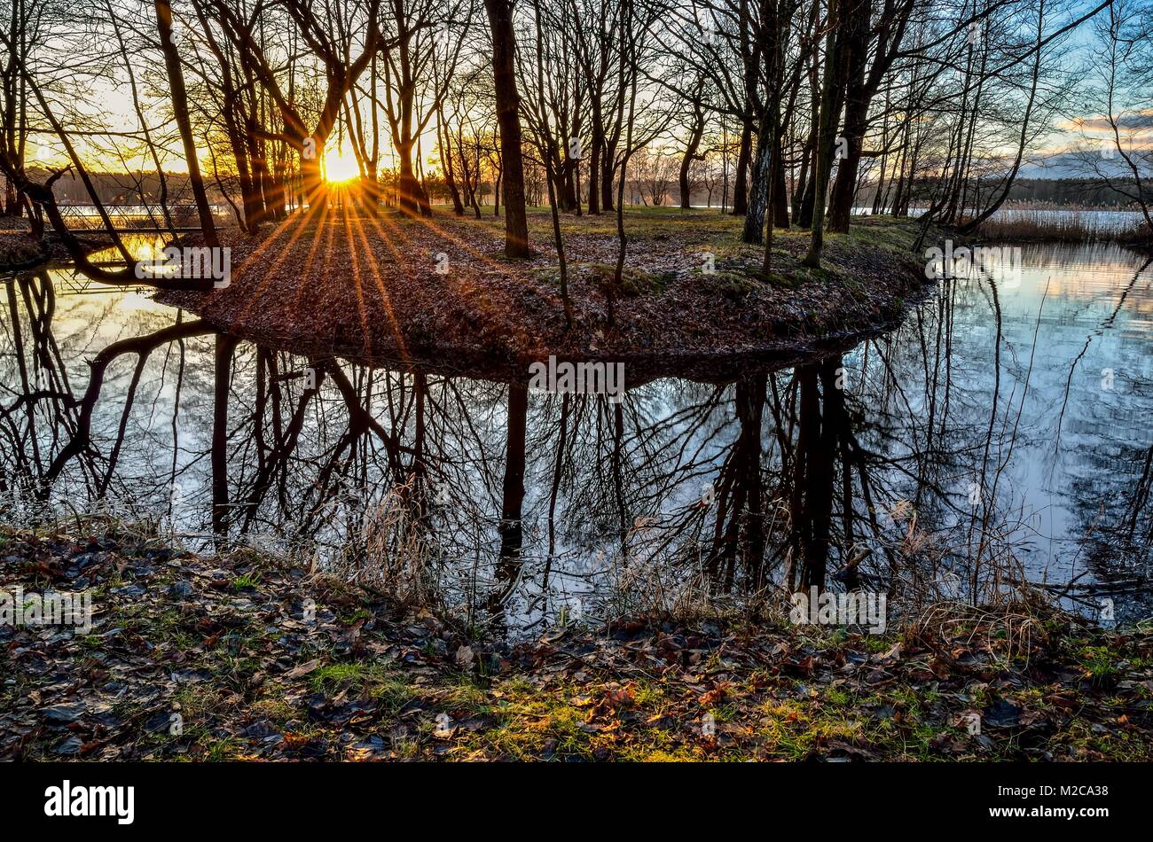 Beautiful colorful landscape. A small river and a lake in the forest in ...
