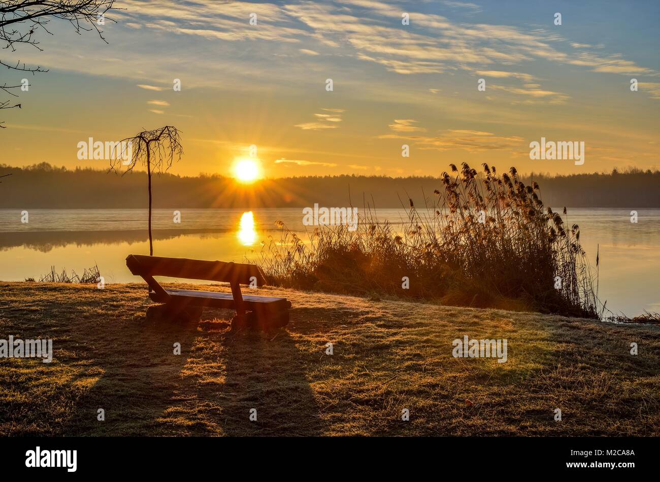 Beautiful sunny landscape. Bench on the edge of the lake at sunrise ...
