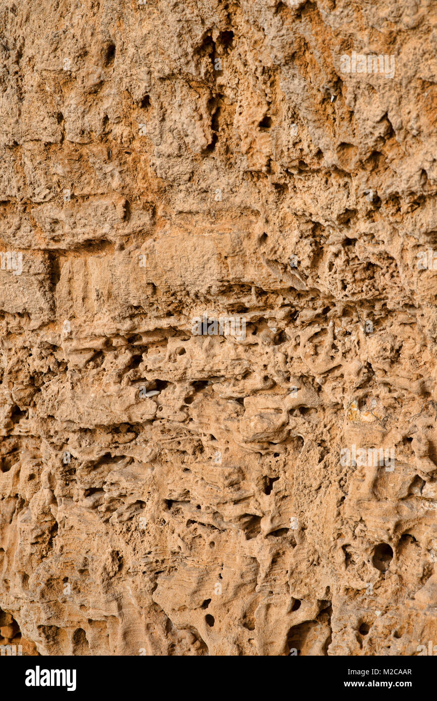 Heavily eroded limestone rock background Stock Photo - Alamy