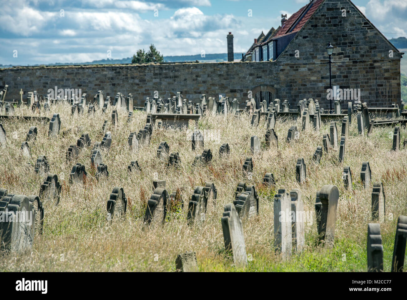 Forgotten graves in overgrown field, Whitby, Yorkshire, UK Stock Photo ...