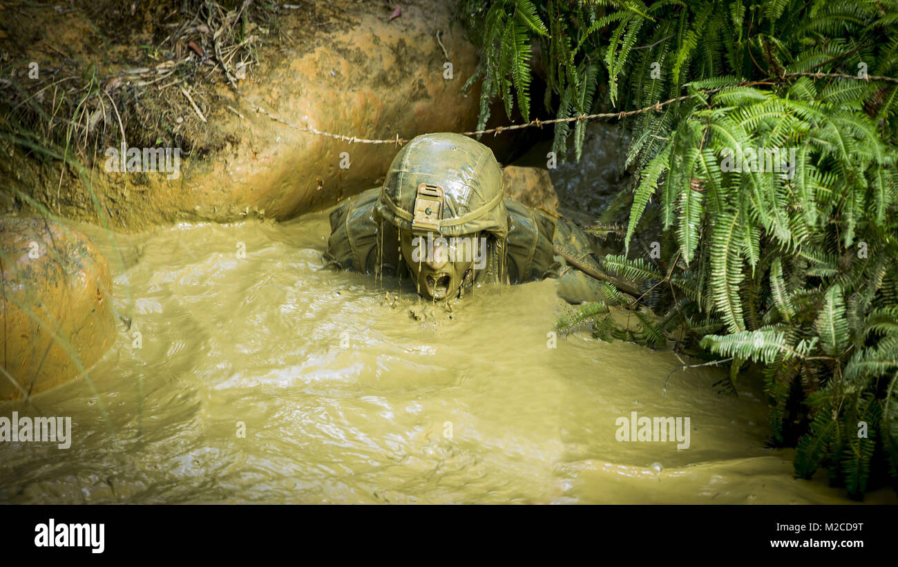 Jungle camo hi-res stock photography and images - Alamy