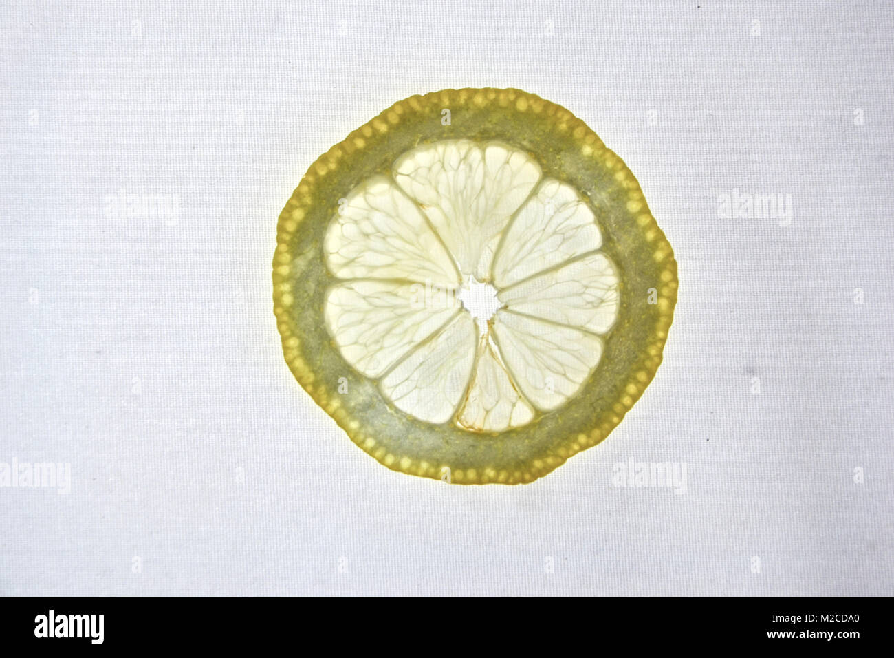 Lemon Slice Isolated Stock Photo - Alamy