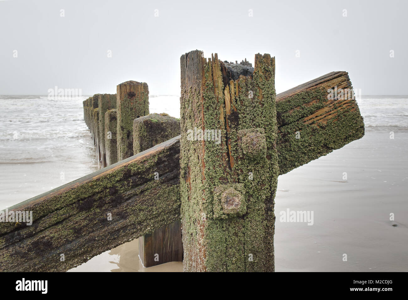 Groynes on north wales coast hi-res stock photography and images - Alamy