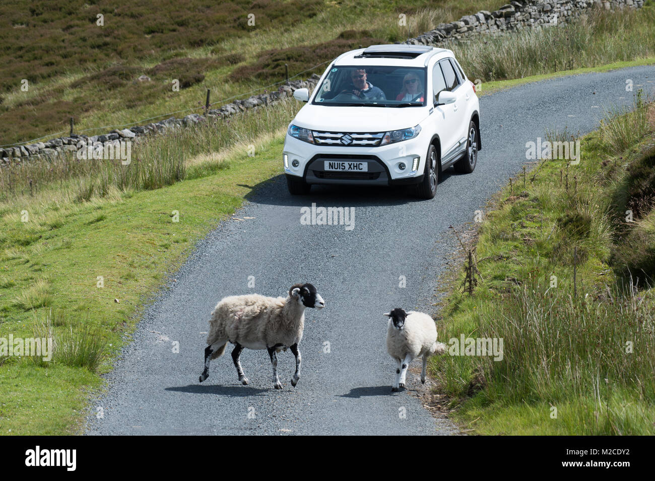 Car uk road couple hi-res stock photography and images - Alamy