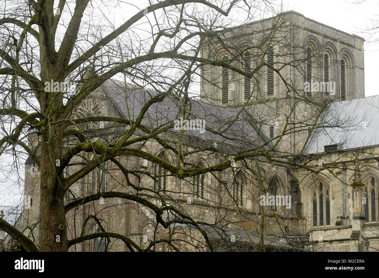 Norman and Gothic Winchester Cathedral (Cathedral Church of the Holy ...