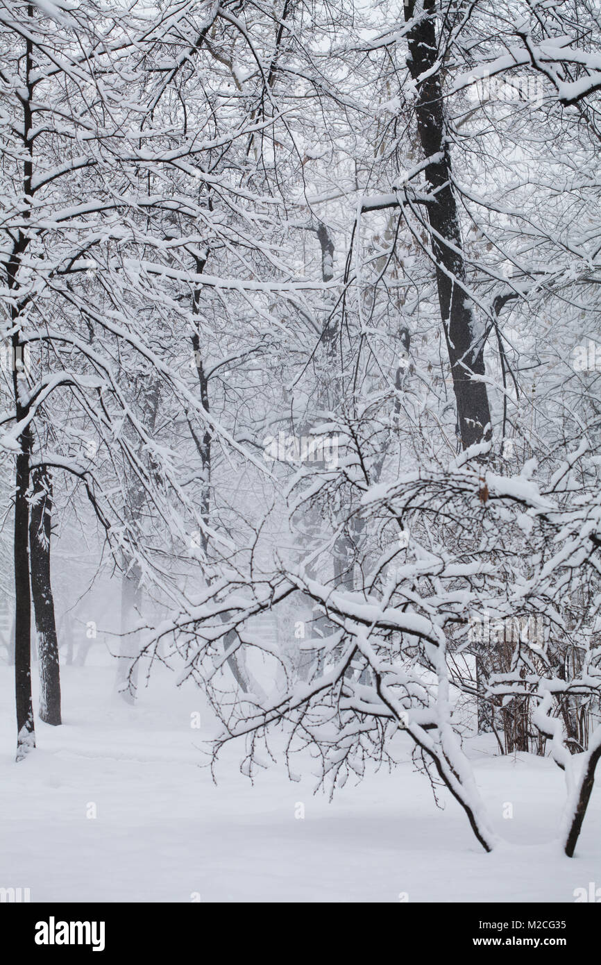 Bad weather snow hi-res stock photography and images - Alamy