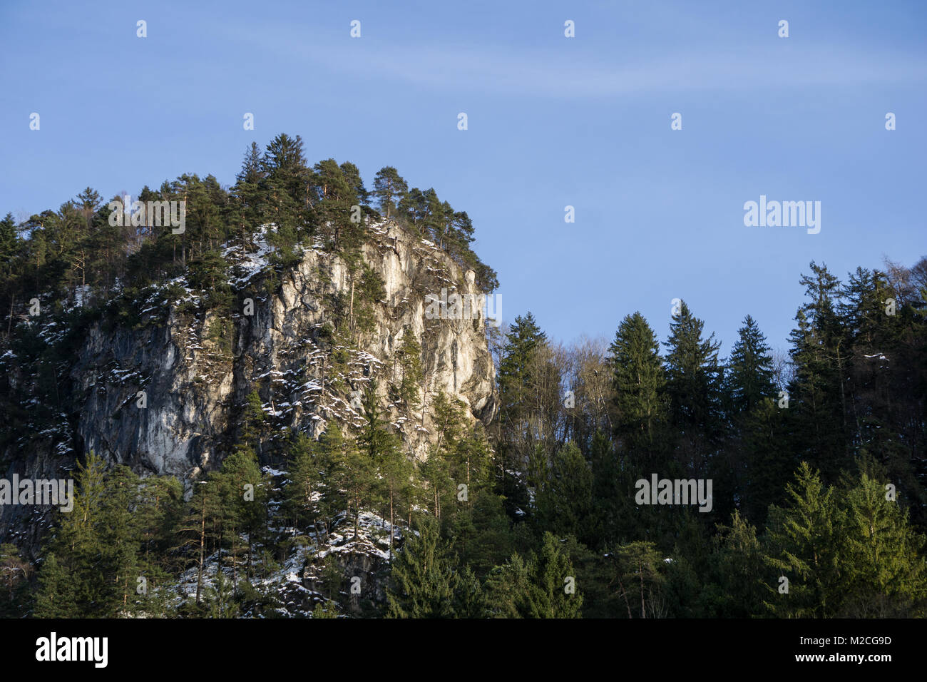 A forest covered cliff in the Austrian Alps in winter Stock Photo - Alamy