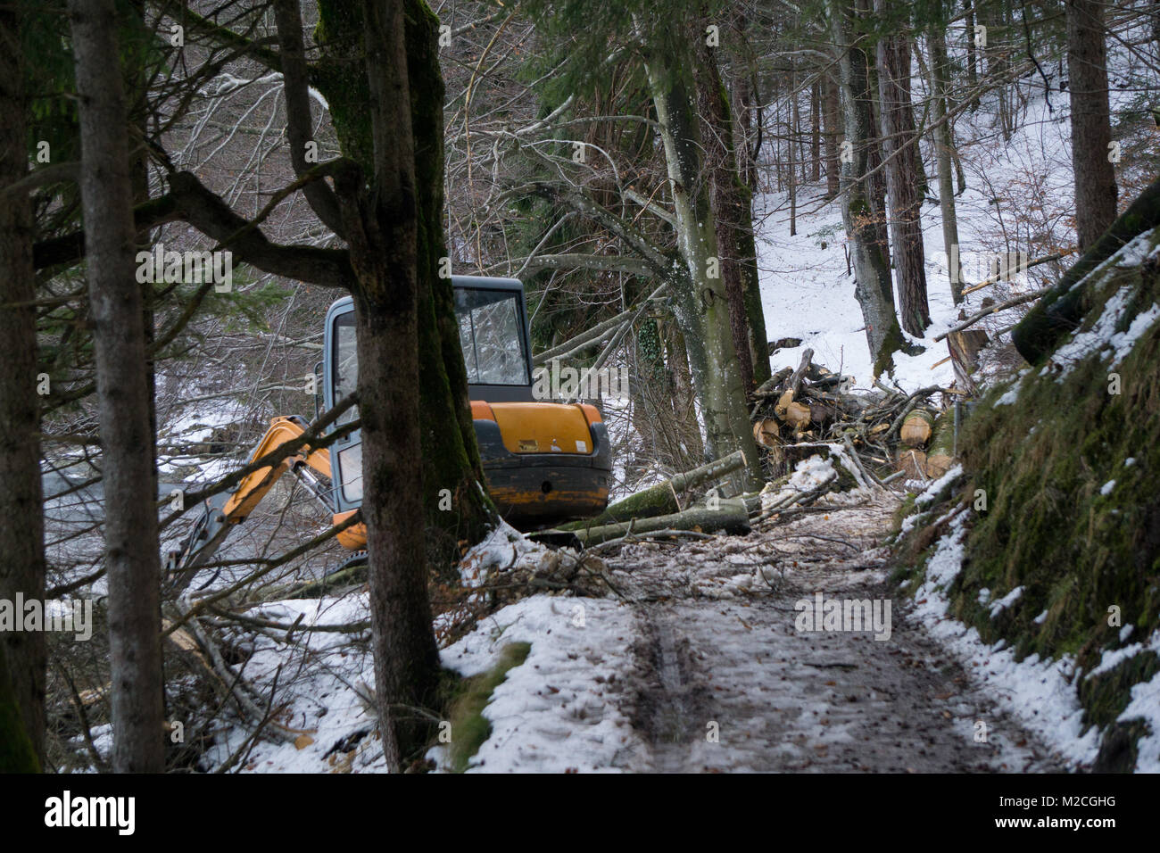 Forestry contractor hi-res stock photography and images - Alamy