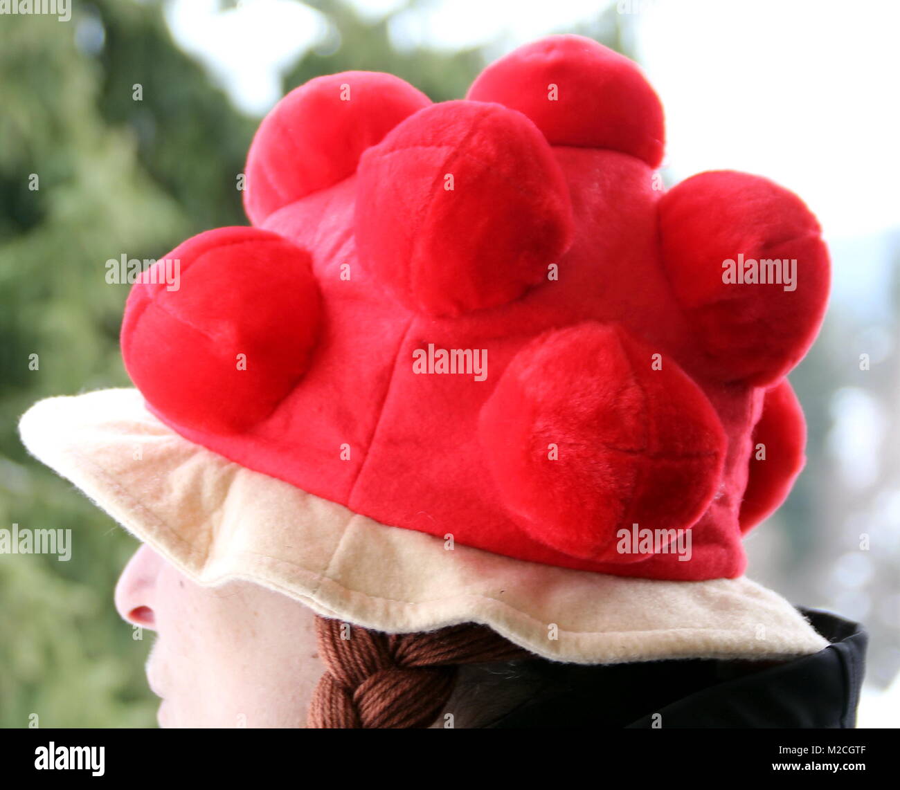 Schwarzwalder bollenhut hi-res stock photography and images - Alamy