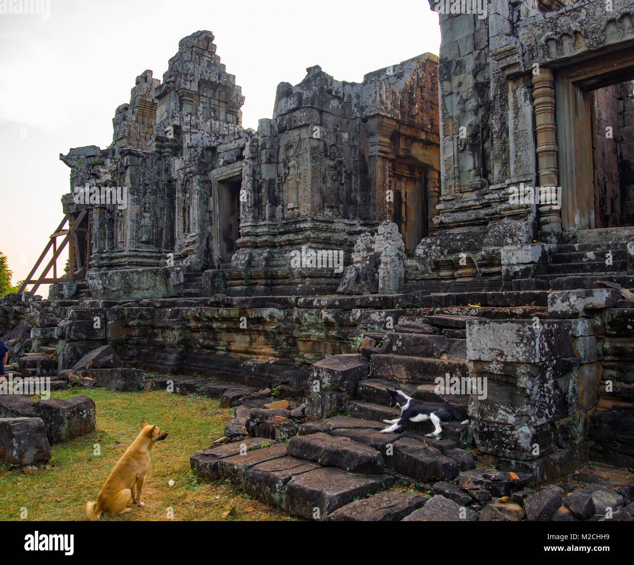 Phnom Bok Temple in Cambodia Stock Photo - Alamy