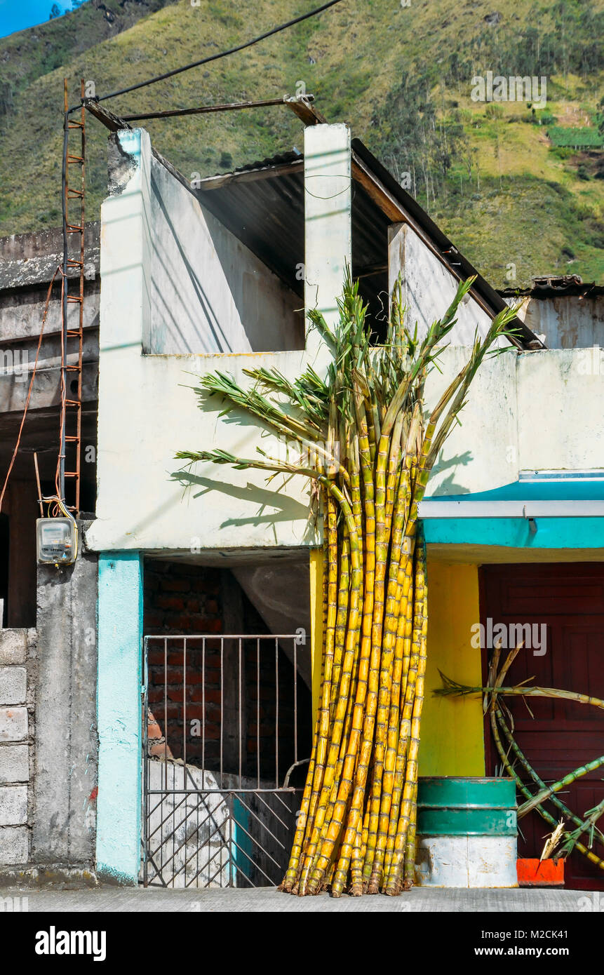 Cut sugar cane pieces on side of building in rural Ecuador Stock Photo ...