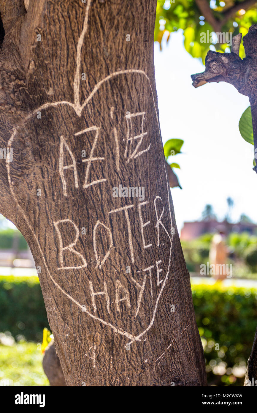 Tree trunk with carved names hi-res stock photography and images - Alamy