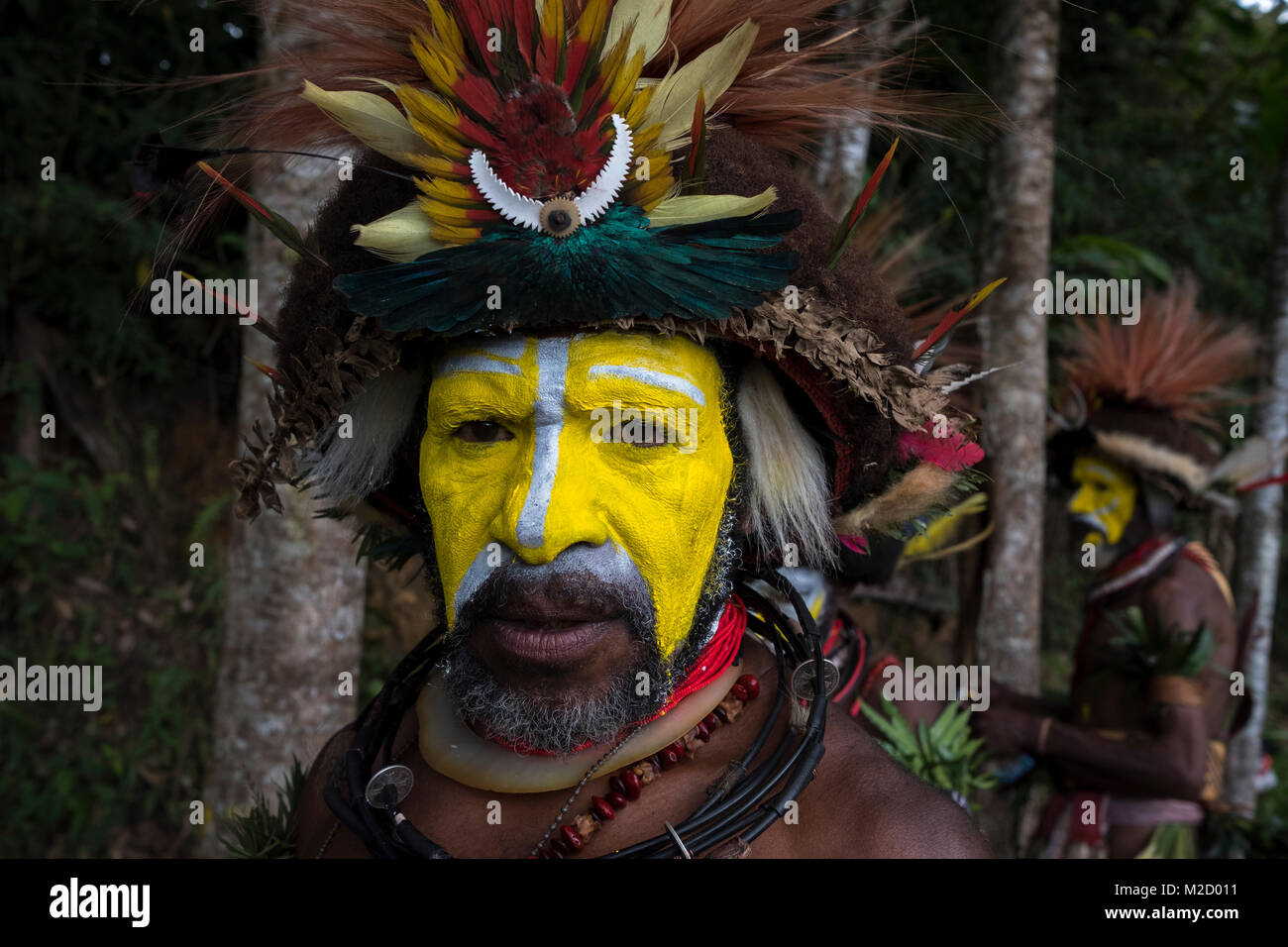 A Huli Wigman painted and dressed for the Mount Hagen Cultural Show in ...