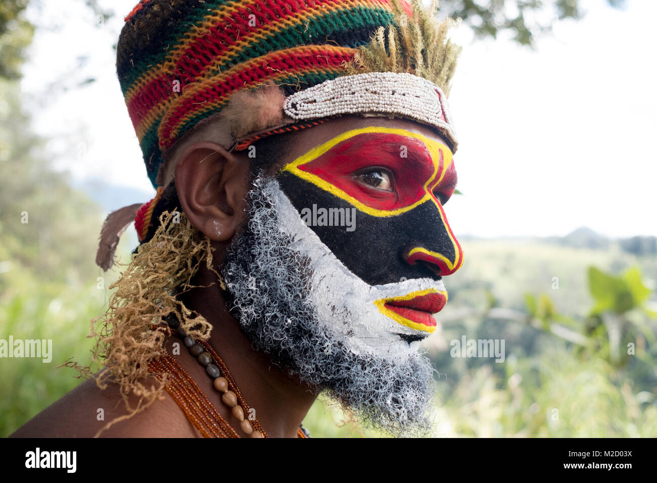 A tribesman painted and dressed for the mount hagen cultural show in ...
