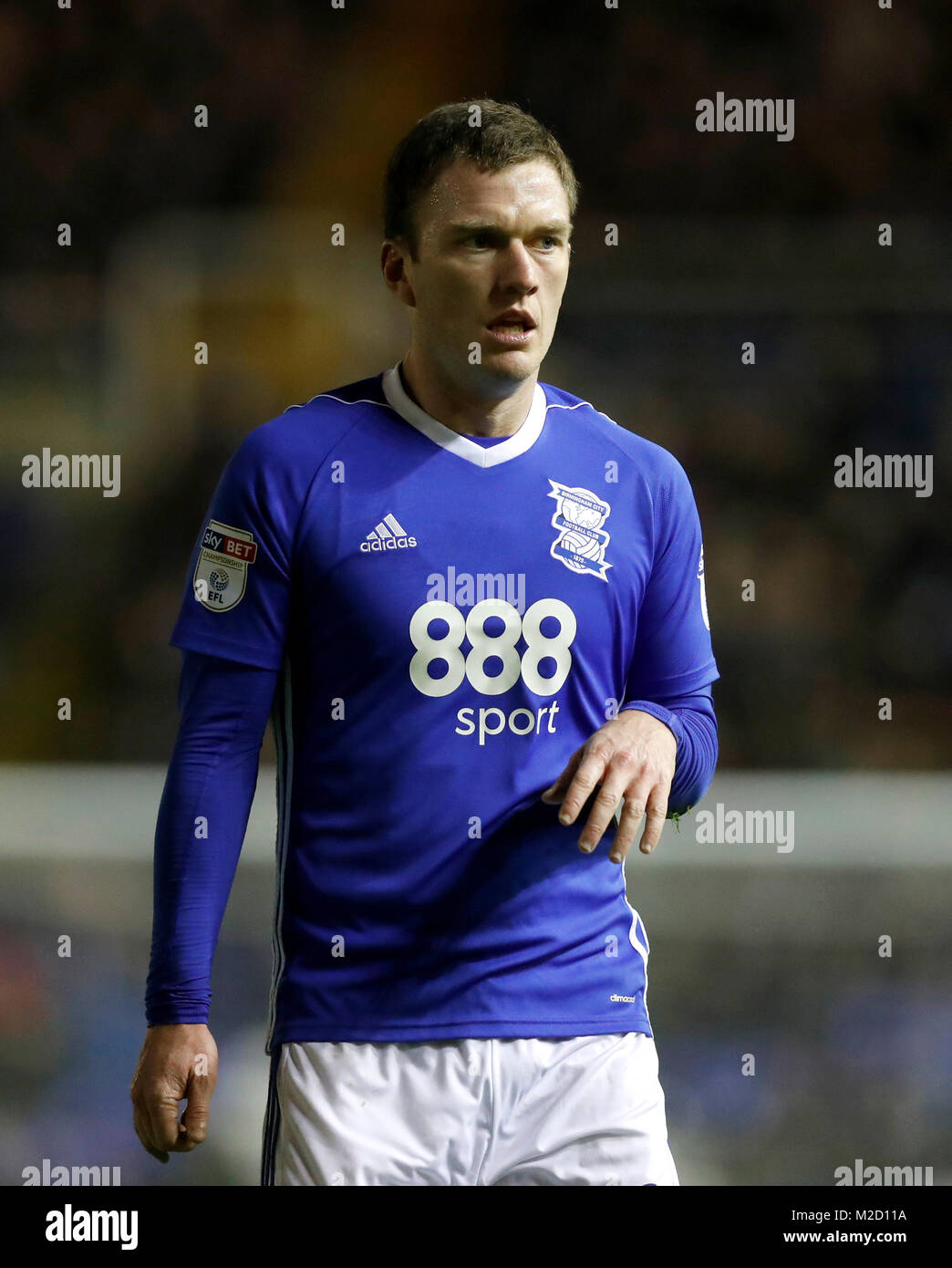 Birmingham City's Craig Gardner during the Emirates FA Cup, fourth ...