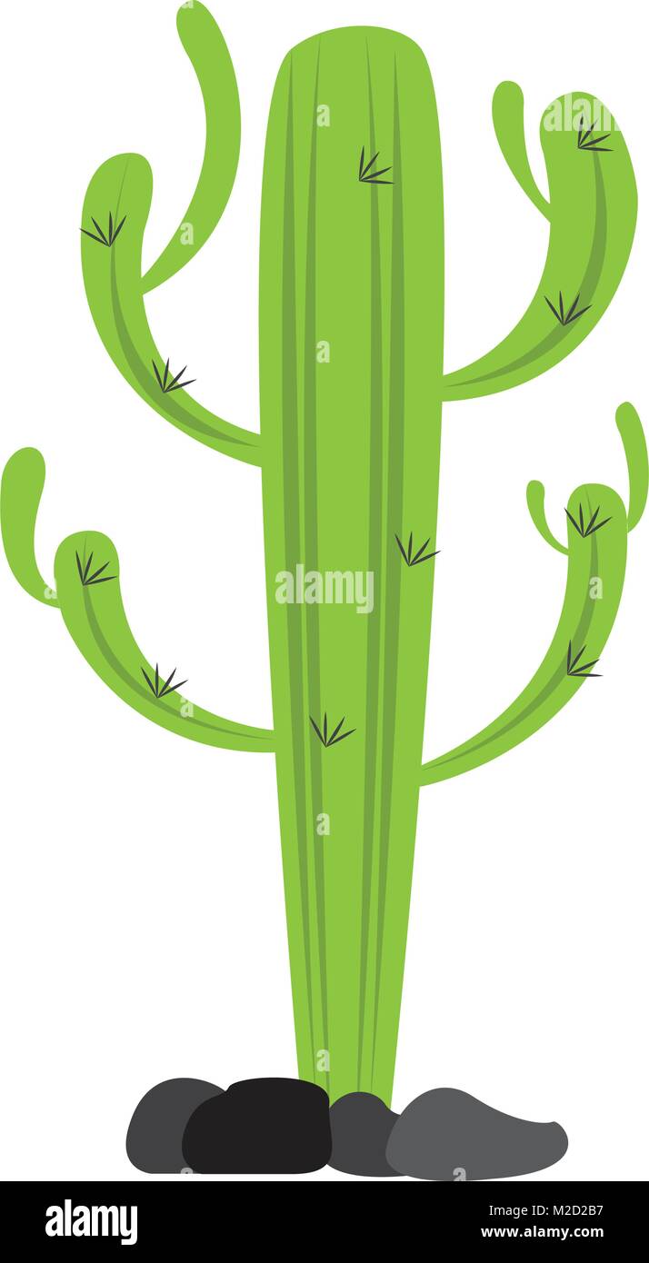 Cartoon cactus icon Stock Vector Image & Art - Alamy