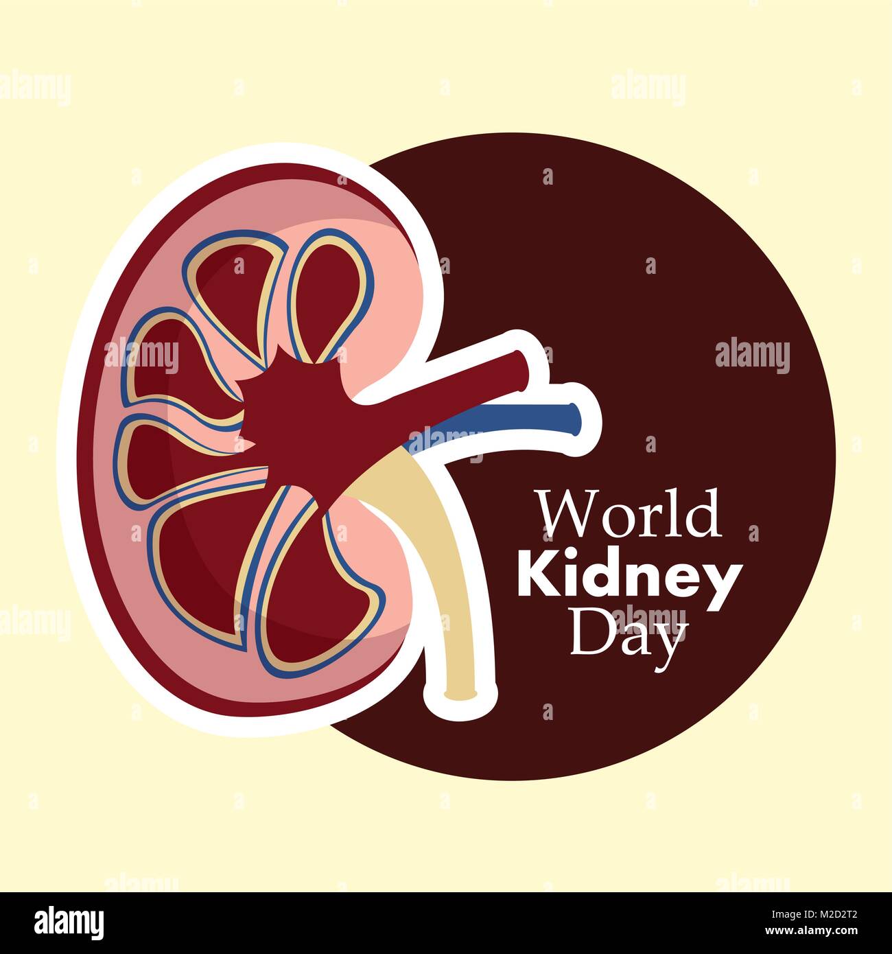 world kidney day poster care prevention Stock Vector Image & Art - Alamy