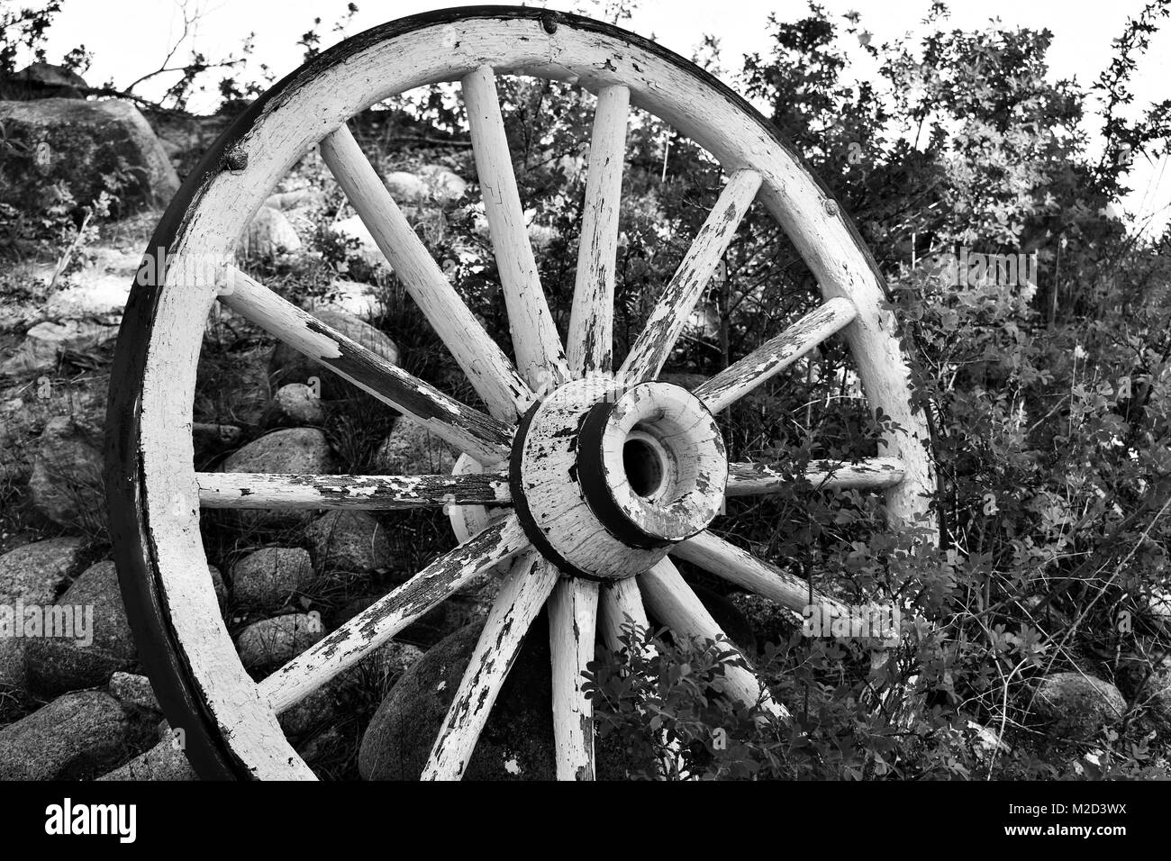 Antique western wagon wheel hi-res stock photography and images - Alamy