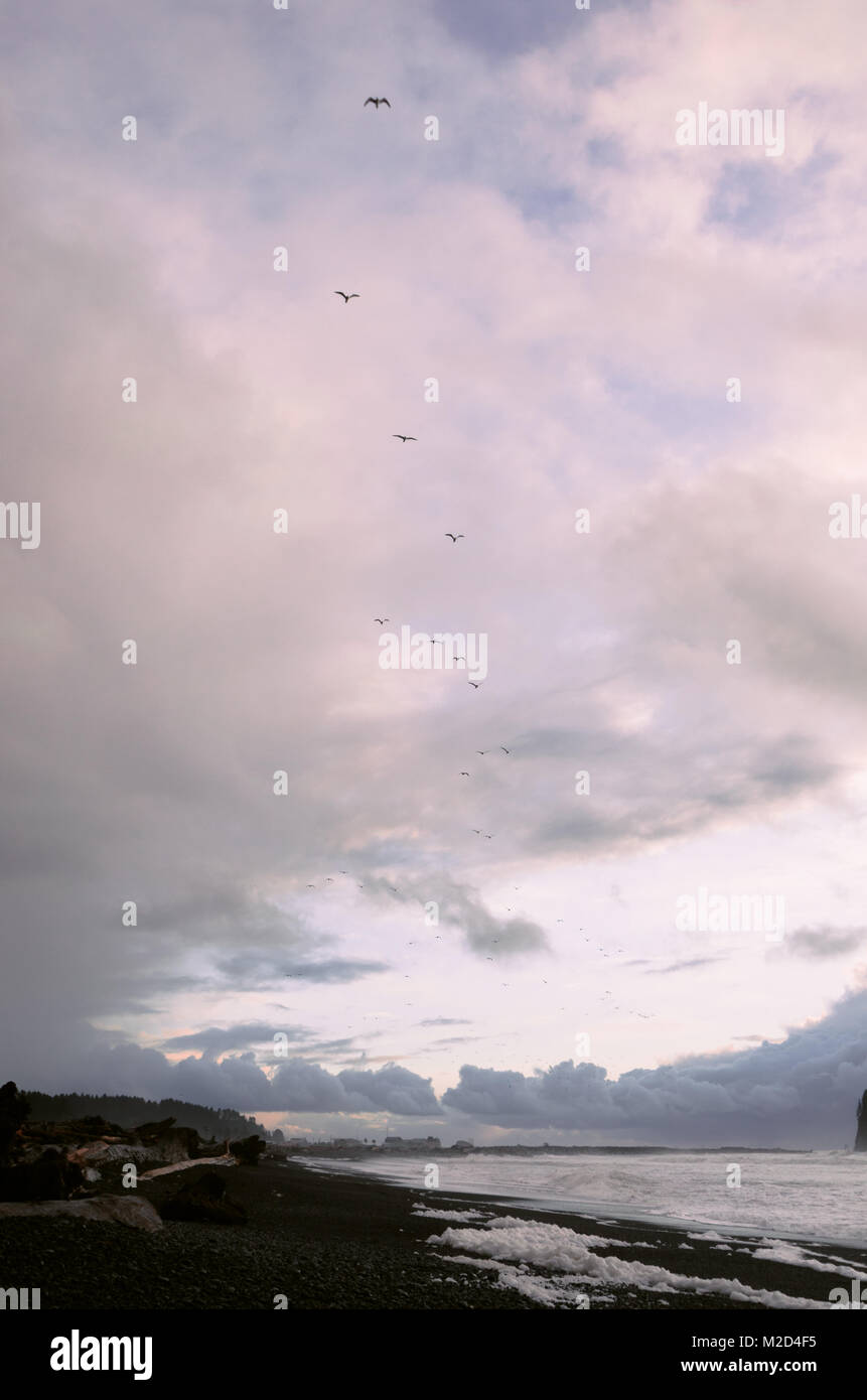 Nature Appreciation in the Pacific Northwest Stock Photo - Alamy