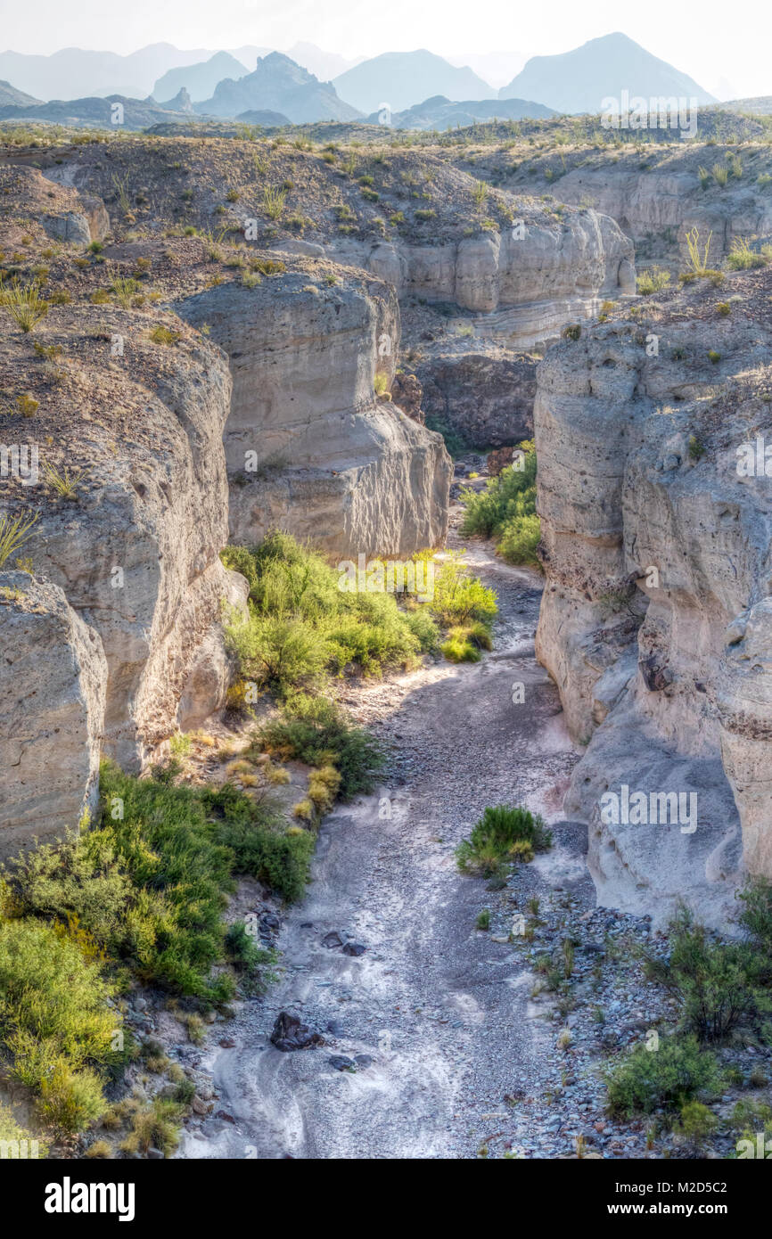 Canyon at Big Bend National Park, Texas Stock Photo - Alamy