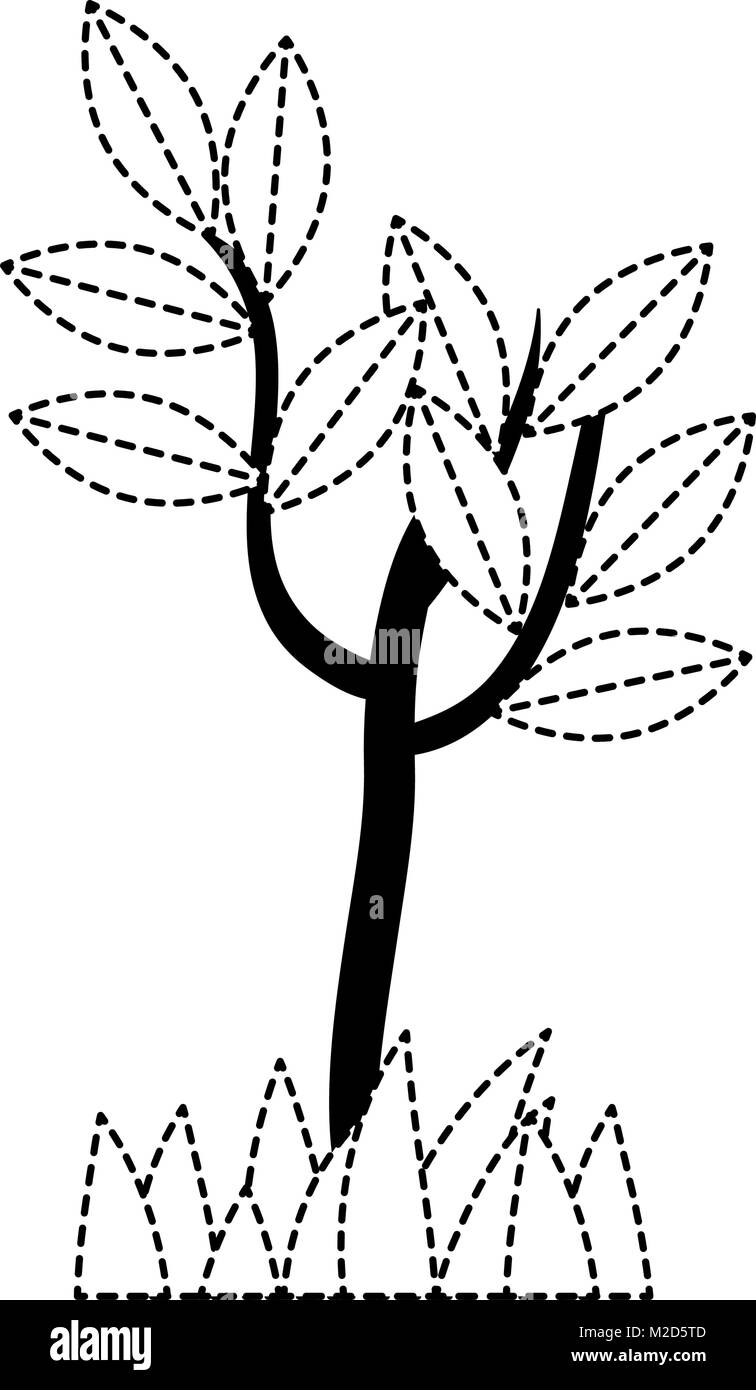 tree plant isolated icon Stock Vector Image & Art - Alamy