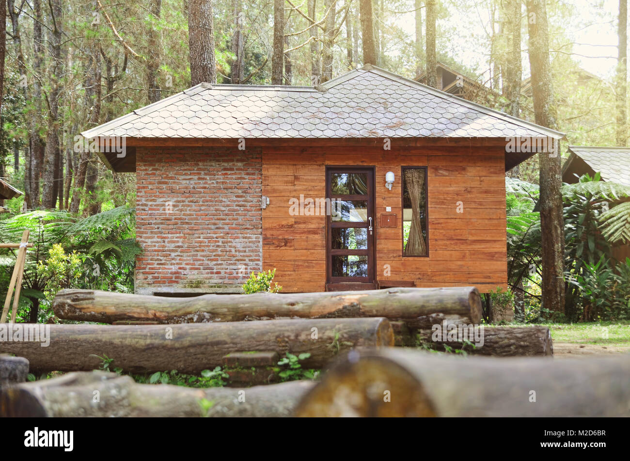 Cottages in the woods hi-res stock photography and images - Alamy