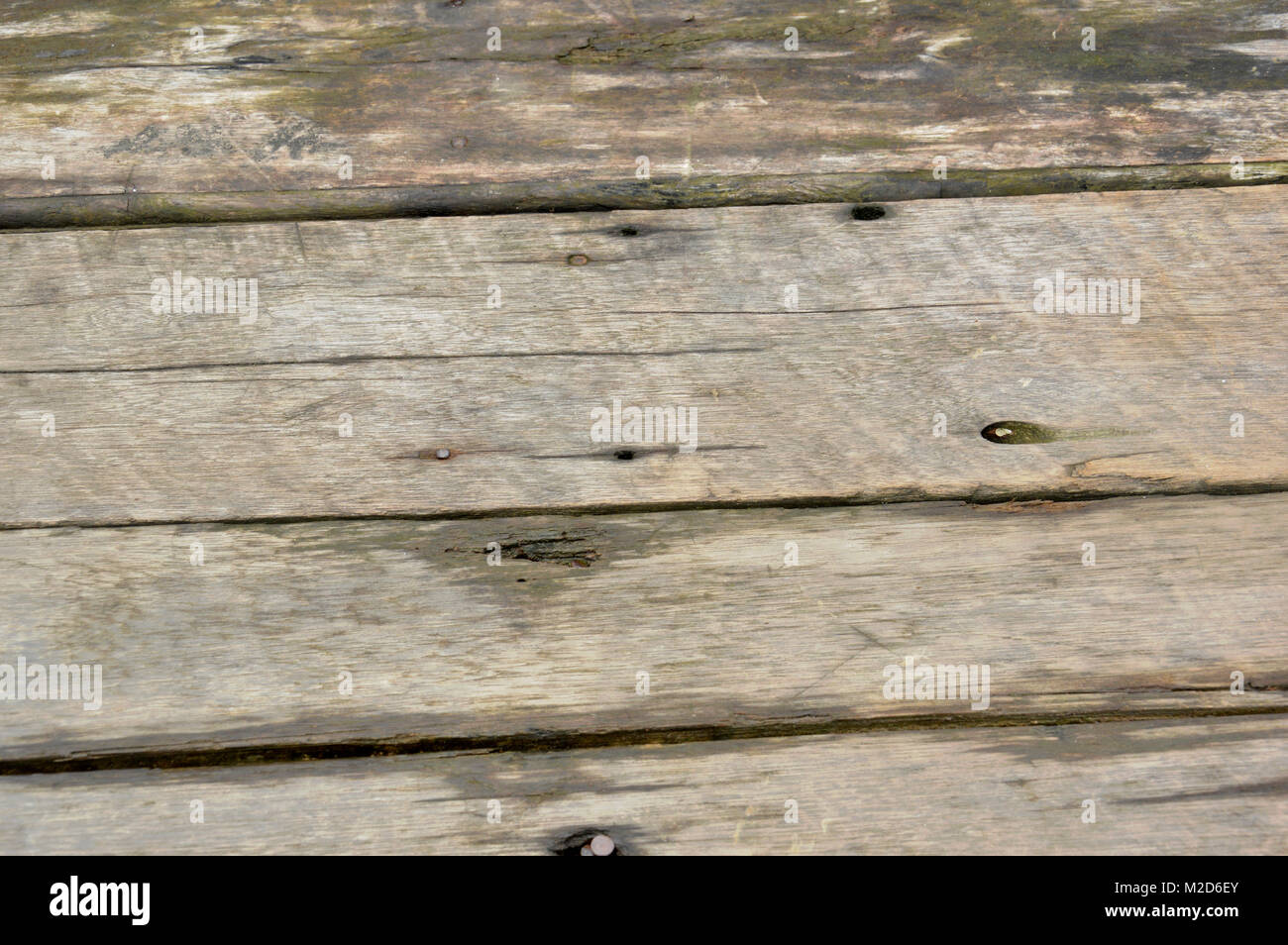 detailed textureand pattern wooden board background Stock Photo - Alamy