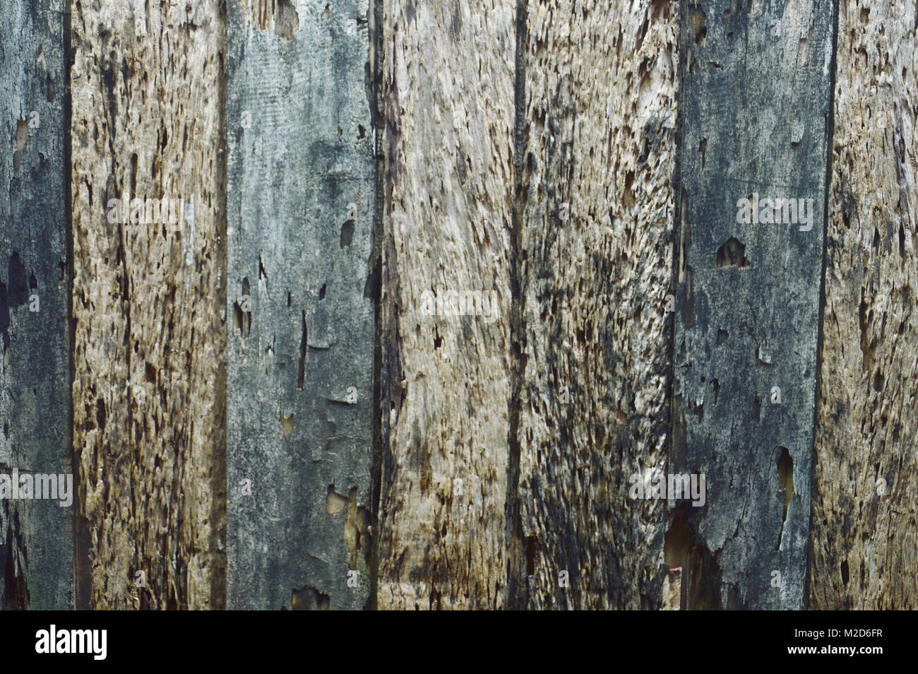 detailed textureand pattern wooden board background Stock Photo - Alamy