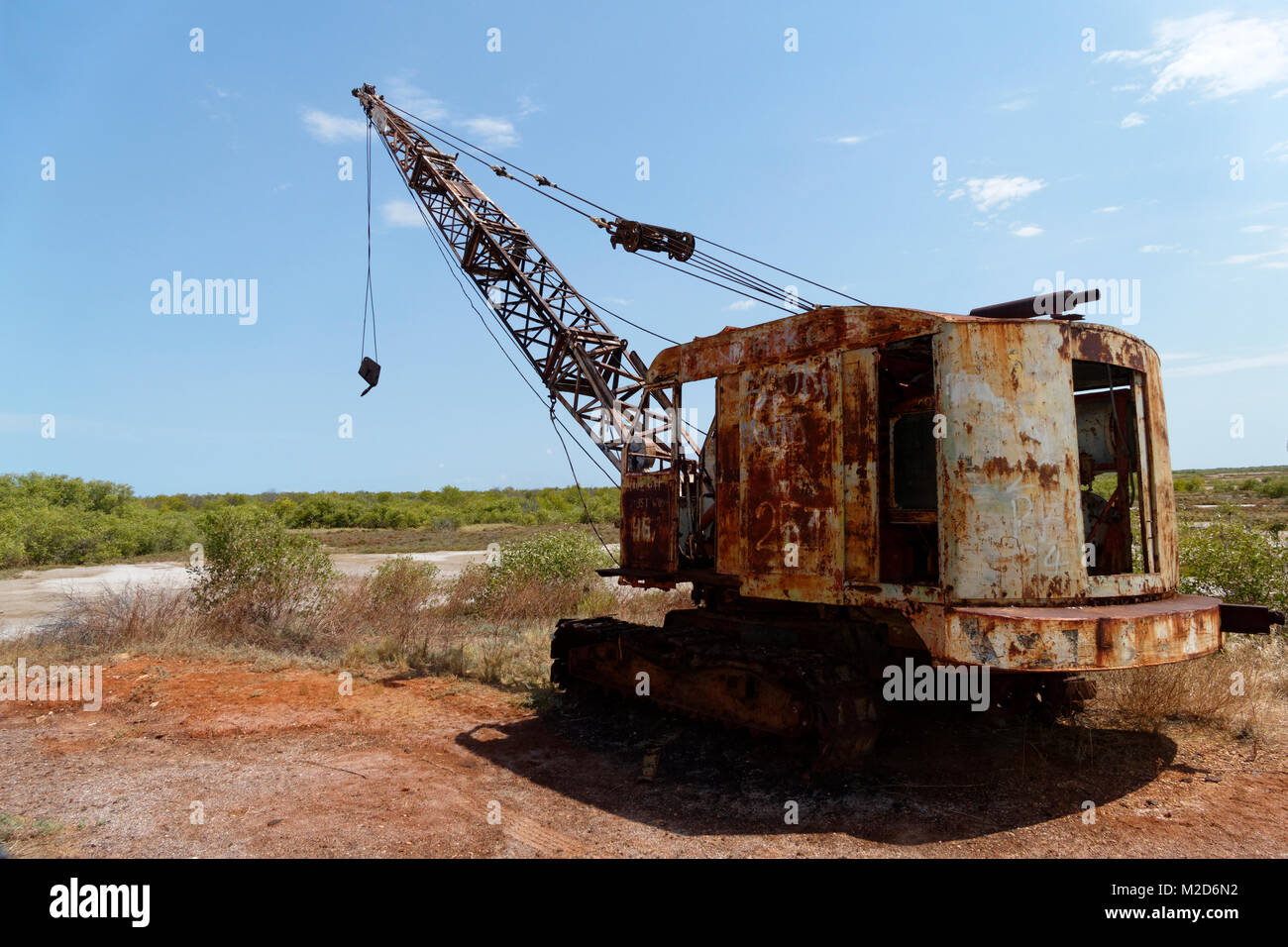 Australian crane hi-res stock photography and images - Alamy
