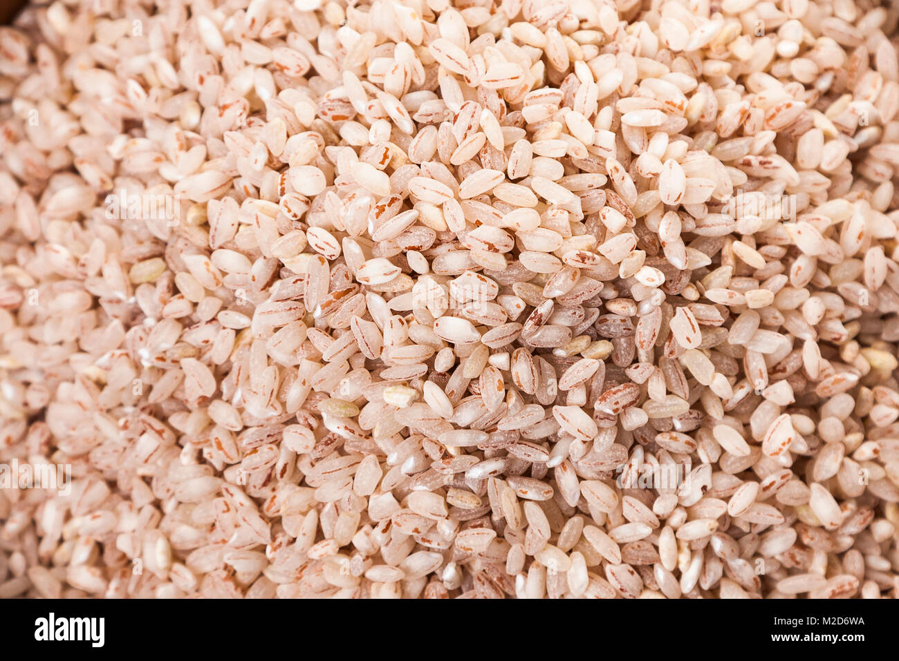 Closeup Rice High Resolution Stock Photography and Images - Alamy