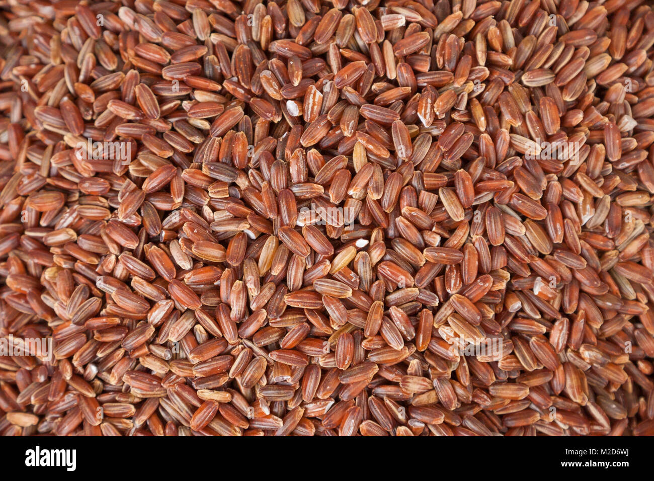 Raw red wild rice closeup, background. Ingredient for a healthy diet ...