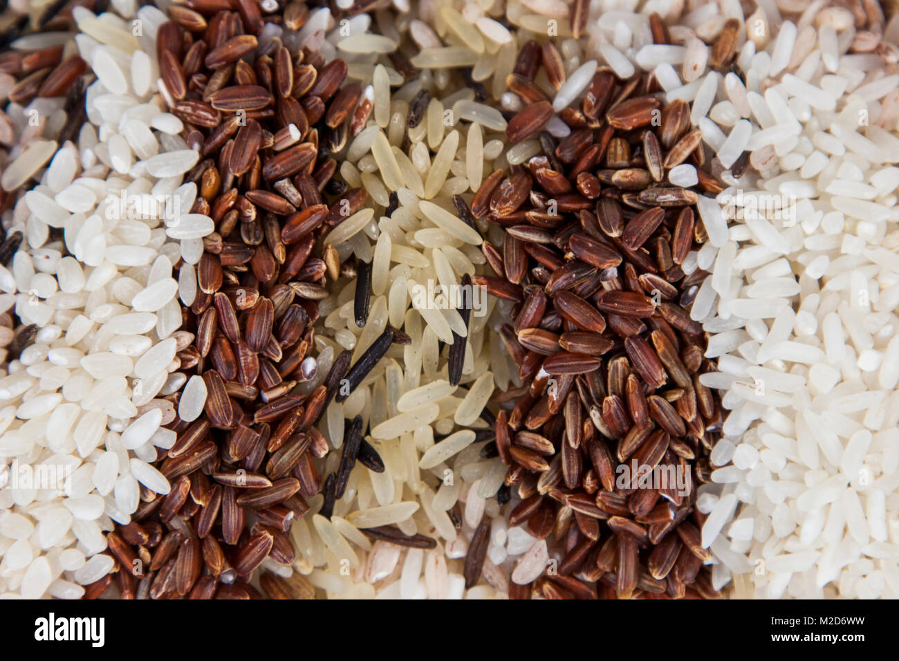 Raw rice varieties hi-res stock photography and images - Alamy