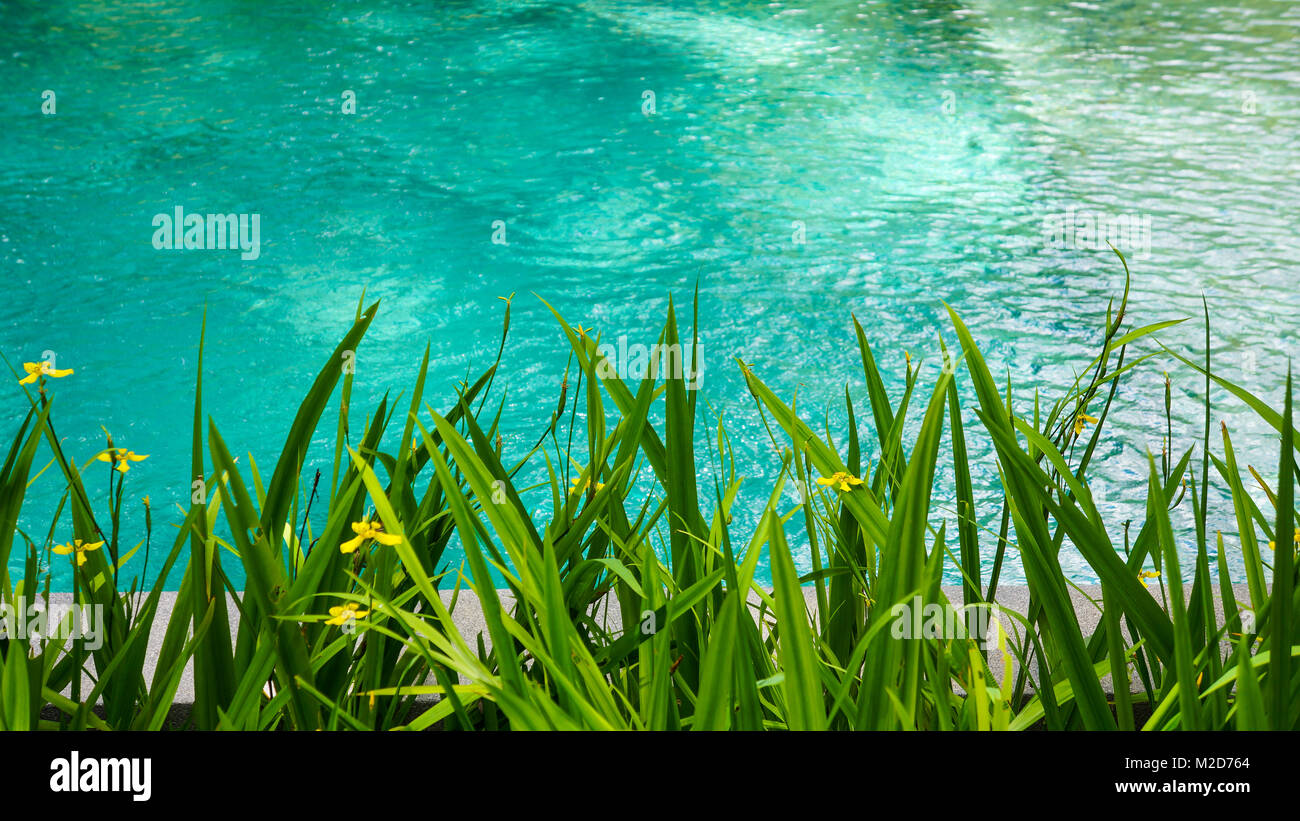 Beautiful backyard landscape design hi-res stock photography and images ...