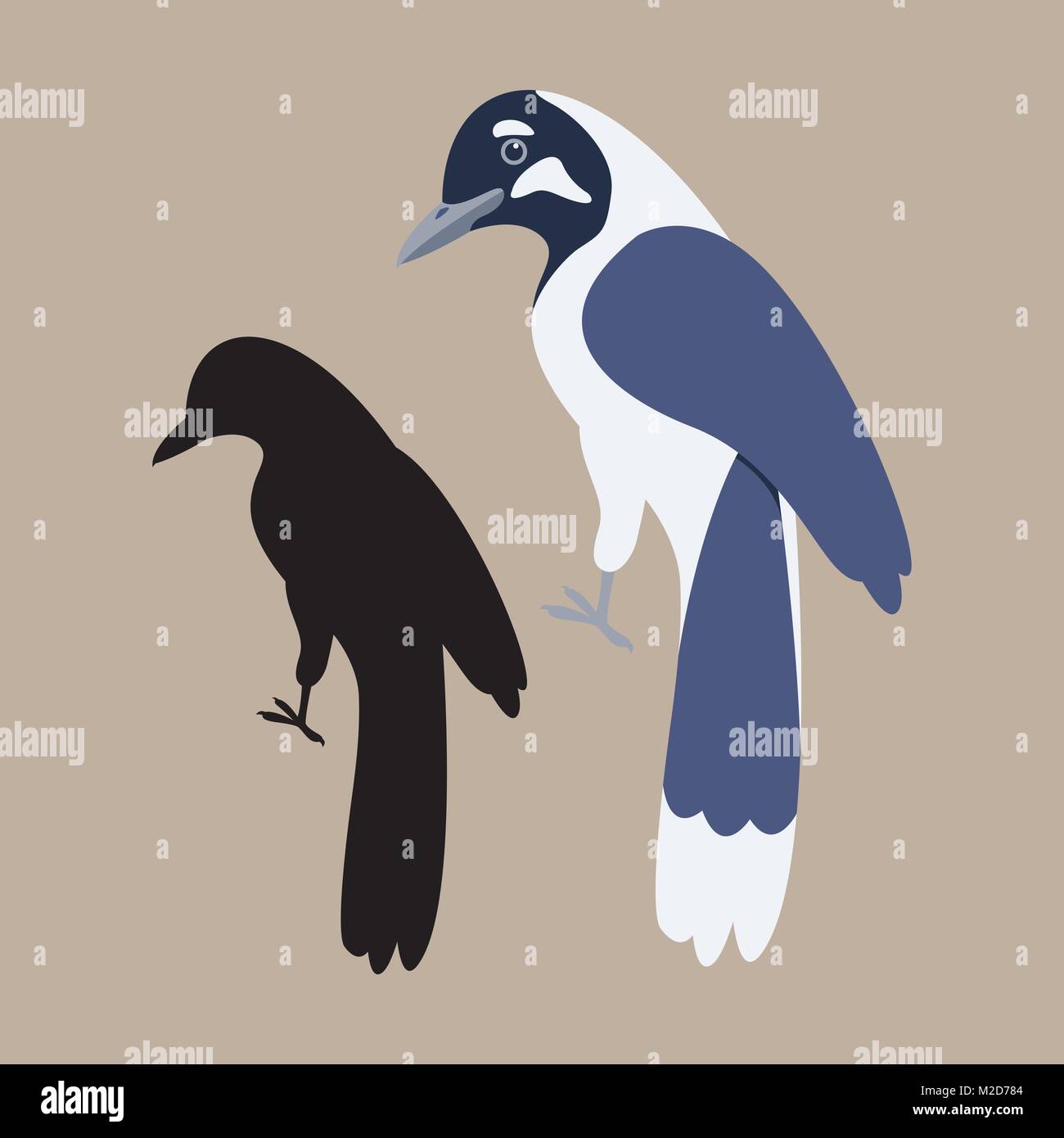 magpie vector illustration silhouette flat style profile side Stock ...