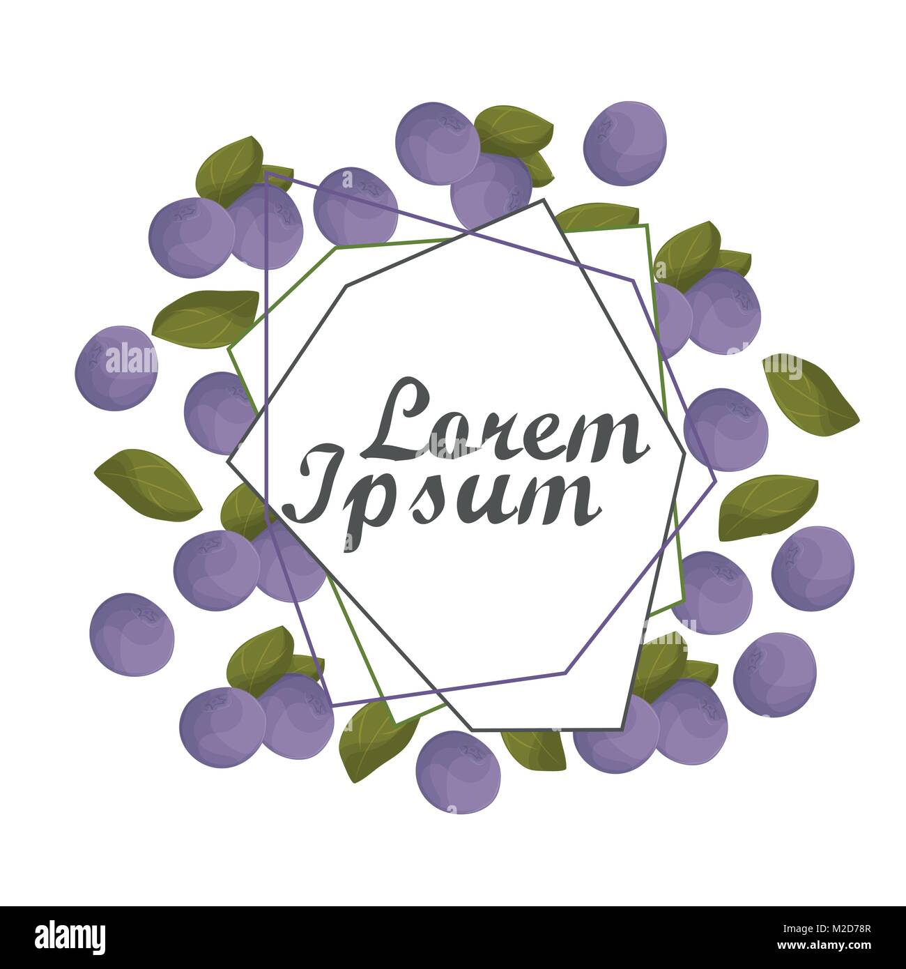 Blueberry Vector card. Blueberries fruit and leaves for packaging ...