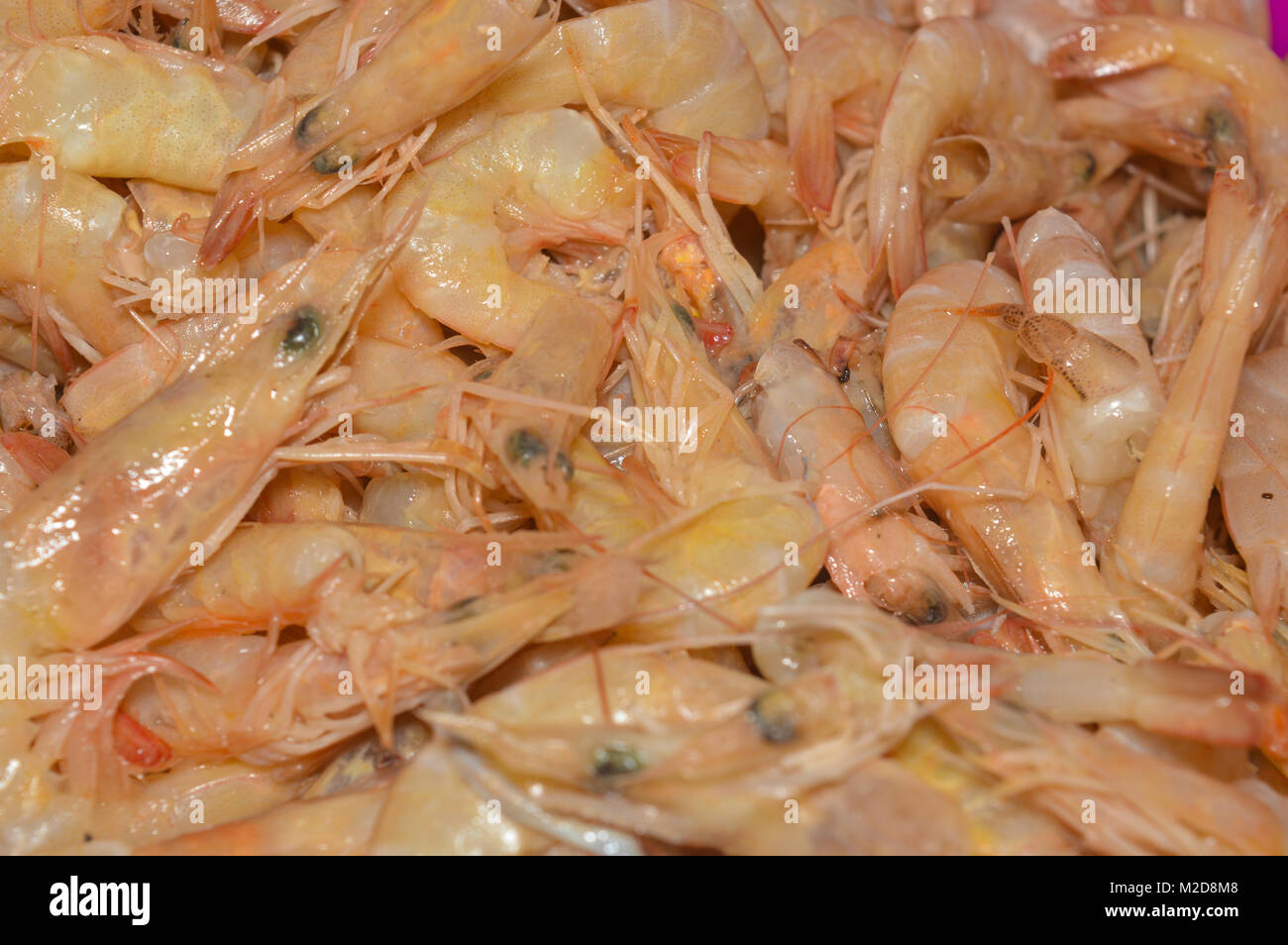Small fish ready to cook hi-res stock photography and images - Alamy