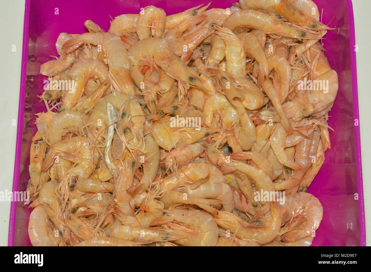 Small shrimps hi-res stock photography and images - Alamy