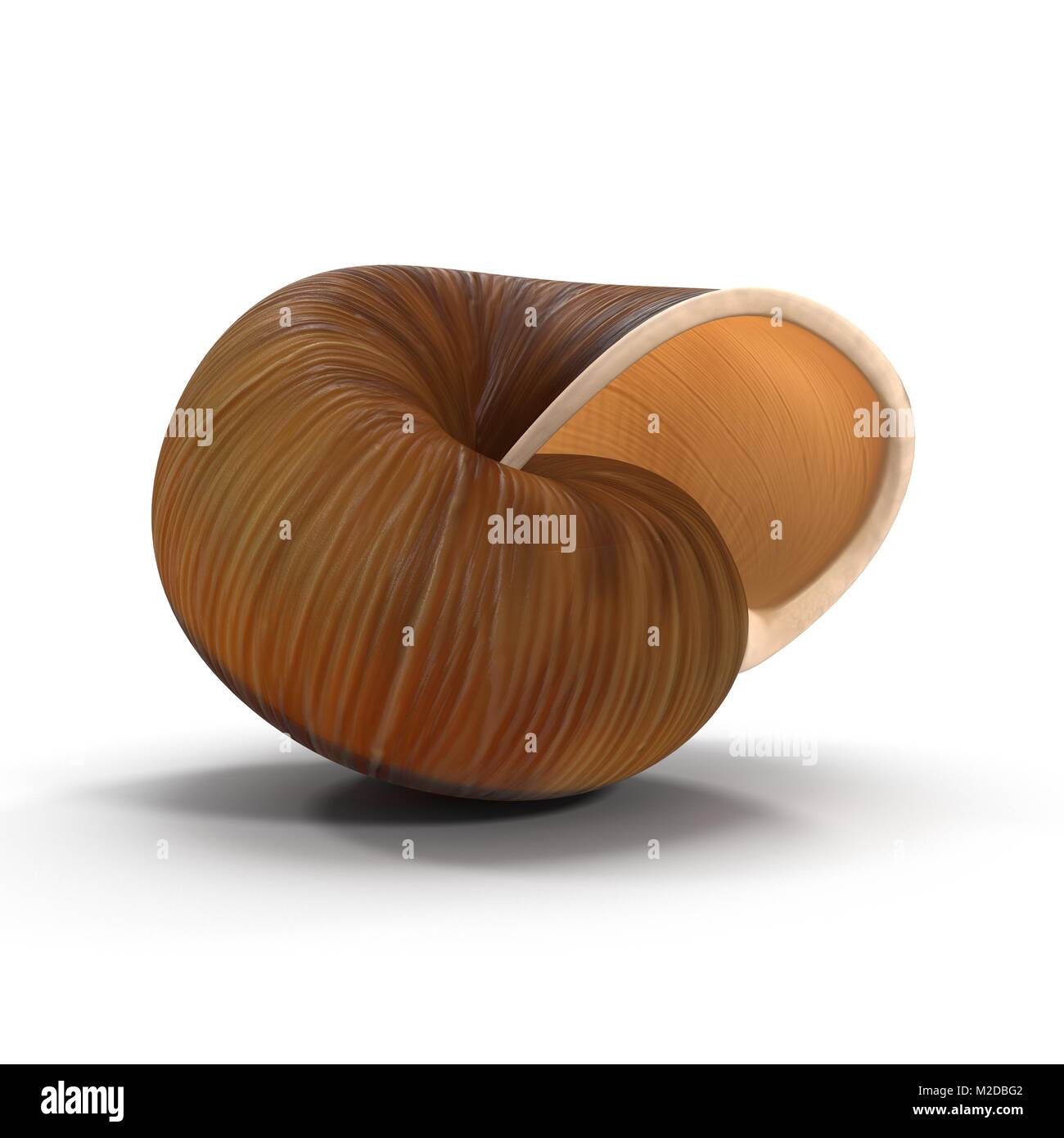 Empty garden snail shells Cut Out Stock Images & Pictures - Alamy