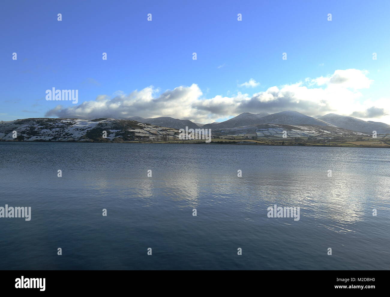 Lough Island Reavy Reservoir Castlewellan Stock Photo - Alamy