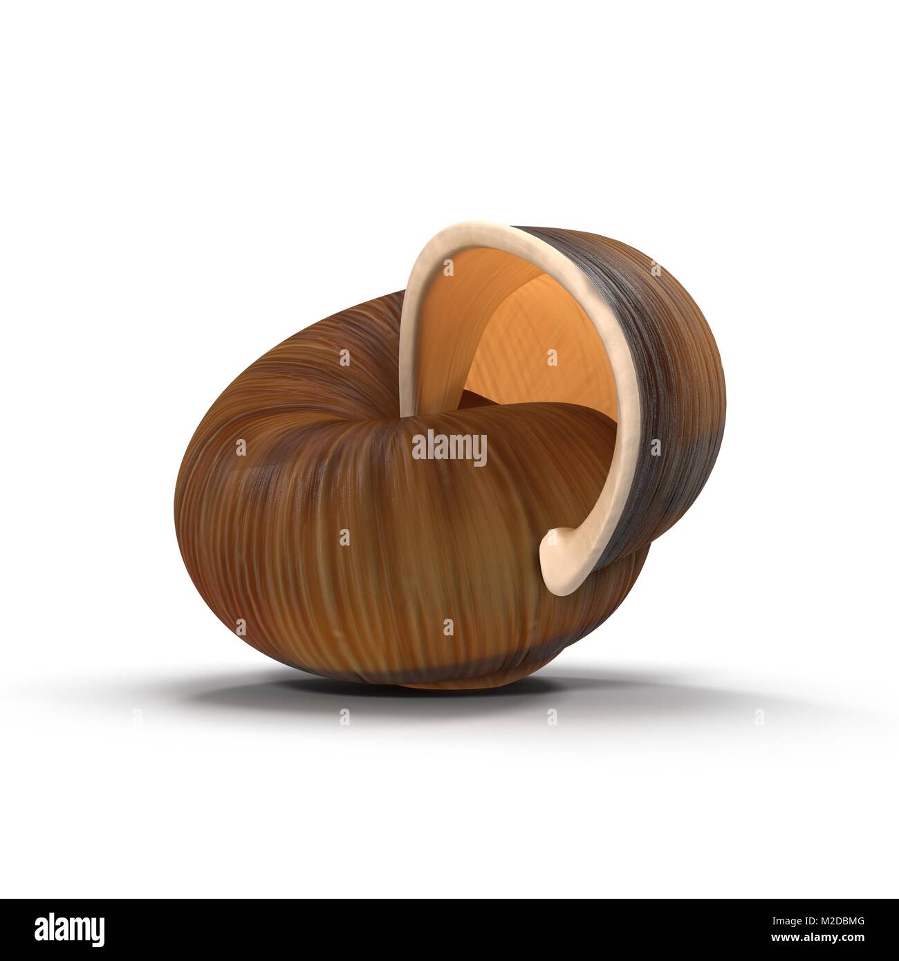 Empty garden snail shells Cut Out Stock Images & Pictures - Alamy