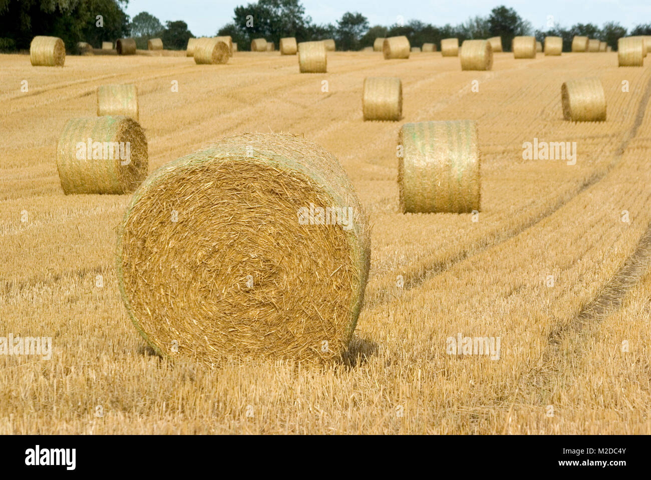 Baled bales hi-res stock photography and images - Alamy