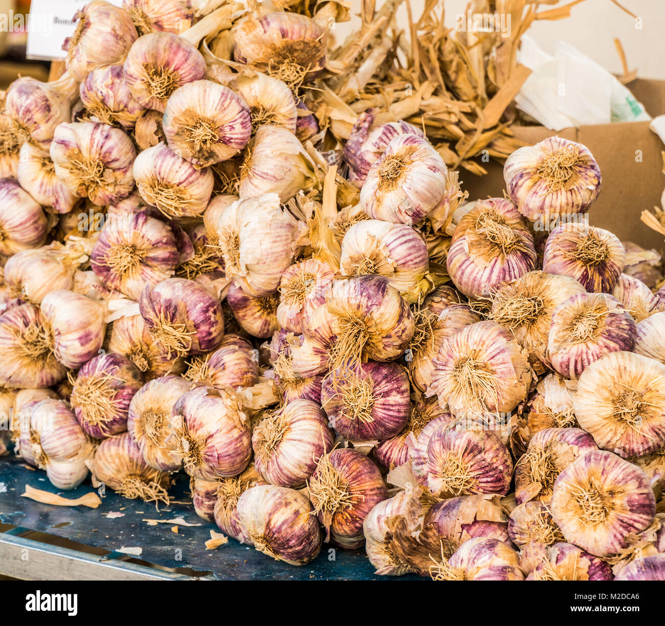 Heap of fresh garlic bulbs in street market. Food background Stock ...