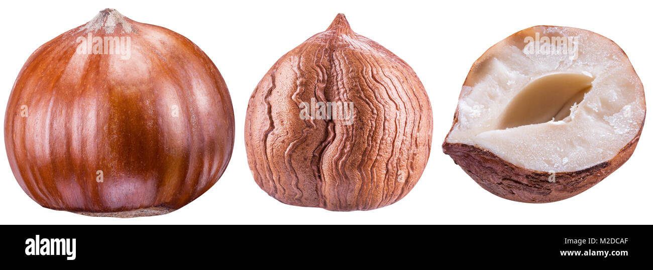 Set of hazelnuts or filberts. Nut and kernel of hazelnut. Clipping path ...